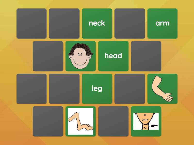 Body Parts - Matching pairs