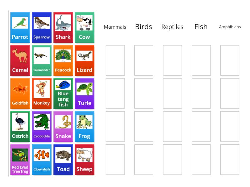 Task 2 (fish, amphibians, reptiles, birds and mammals) - Ordenar por grupo