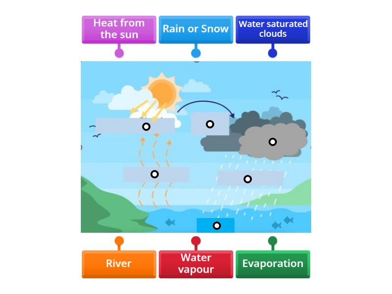 rain water cycle diagram - Imagem com legenda