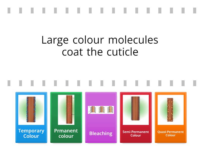 Effects of Colour on the Hair Colour & Lighten & The Art of Colour ...