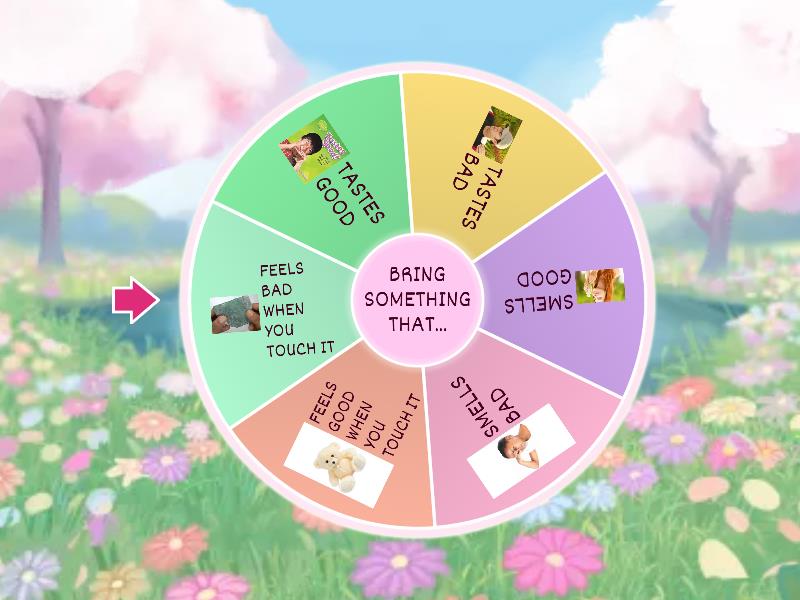 SENSES - Spin the wheel