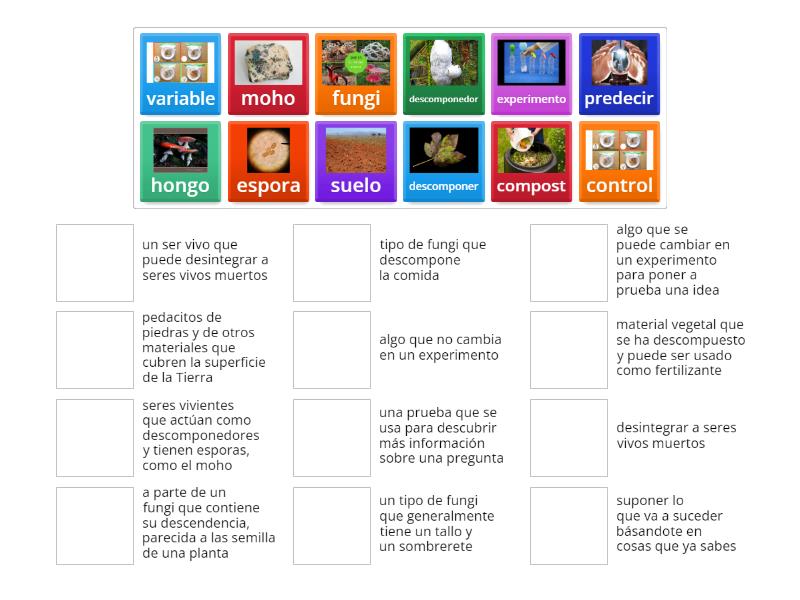 5.3.3 Where do fallen leaves go? - Match up