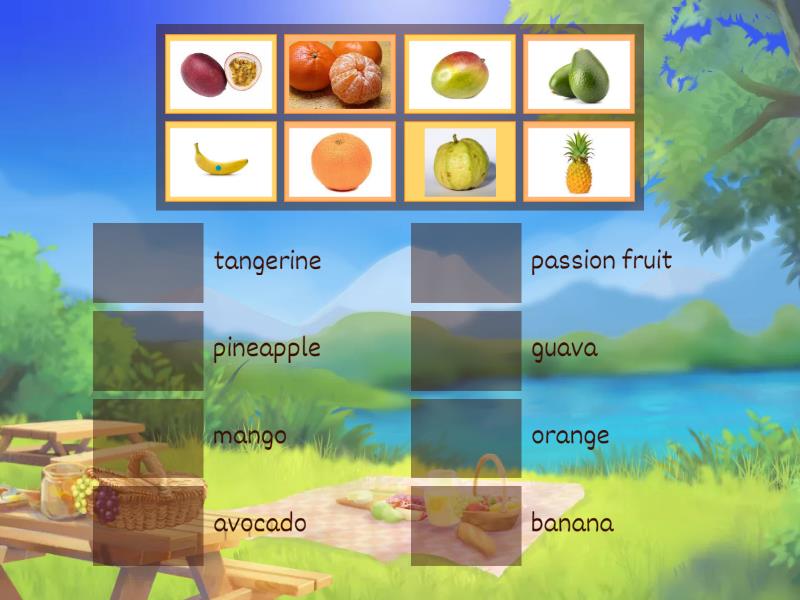 Handa's Surprise Fruits - Match up