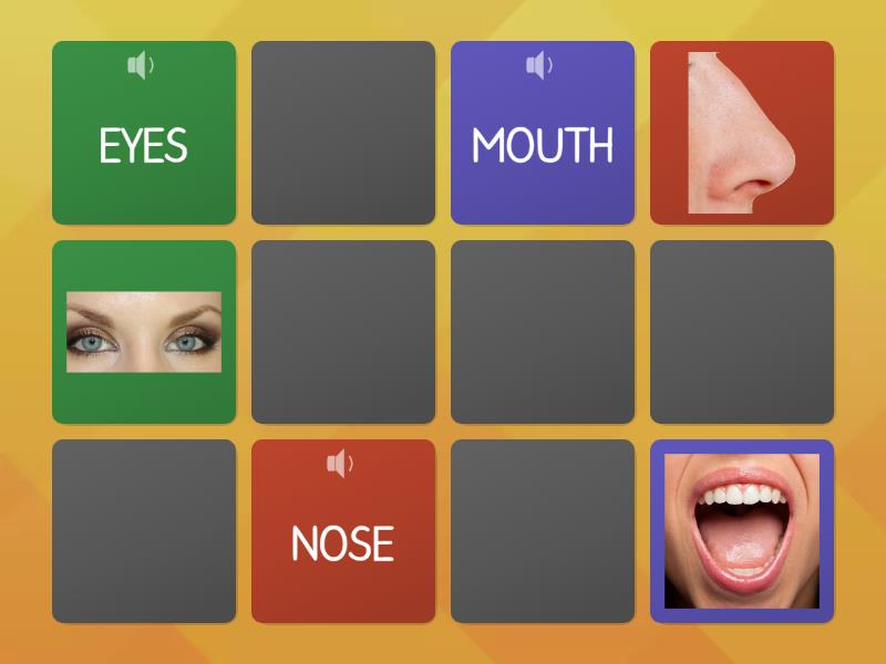 Body parts- Memory Game - Matching pairs