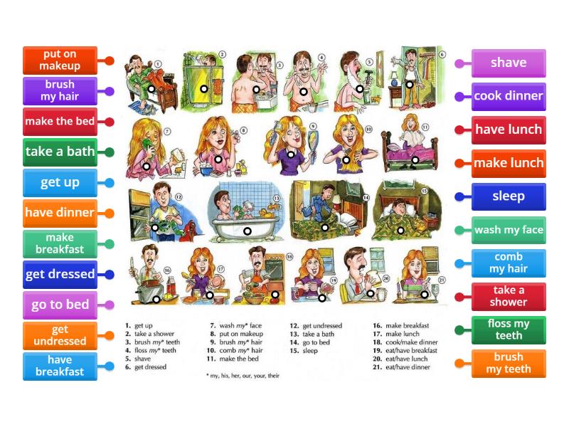Daily Routines - Labelled diagram