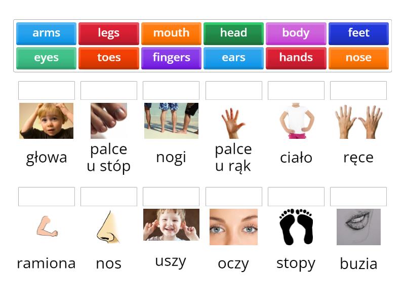 Kids Can 1 Unit 4 Klasa 1 Body Parts - Match up