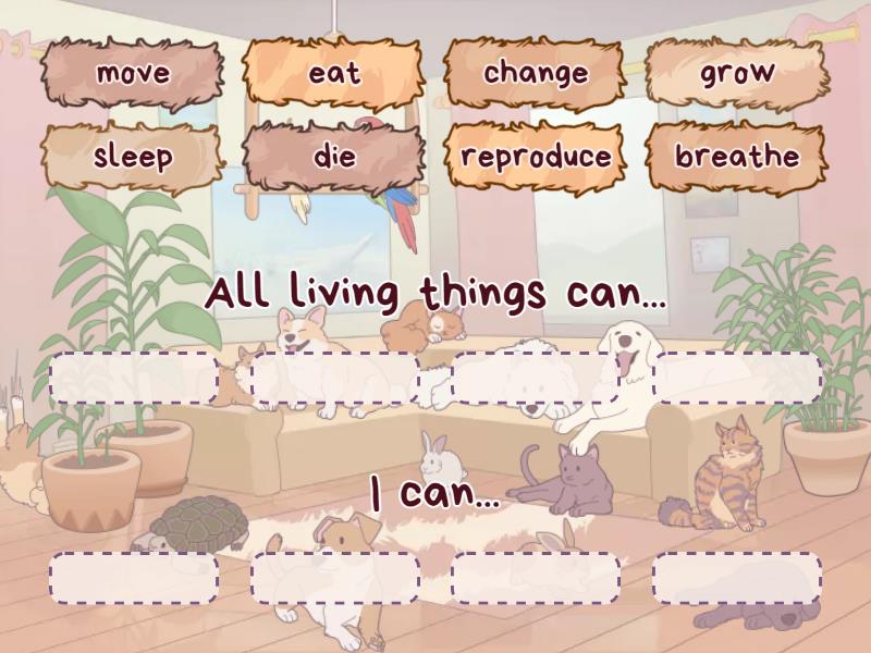 Human life cycle - Group sort