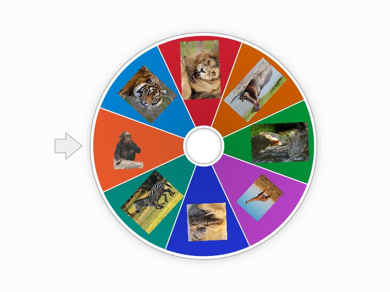 Wild animals - Spin the wheel