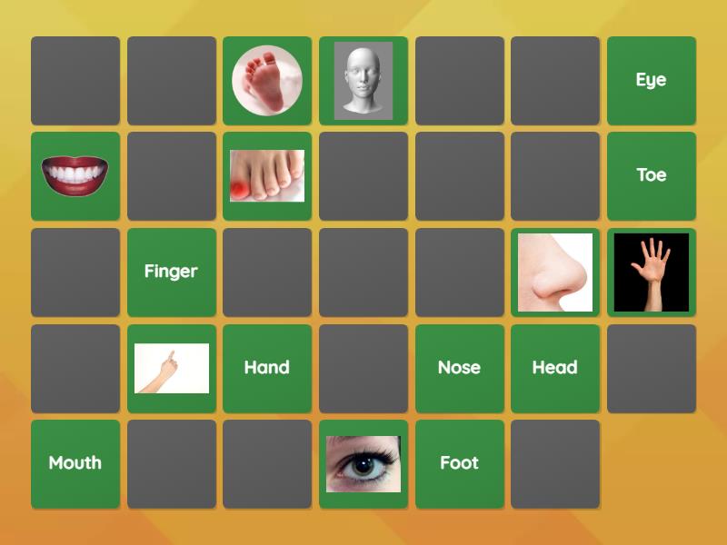 Body Parts - Memory Game - Matching pairs