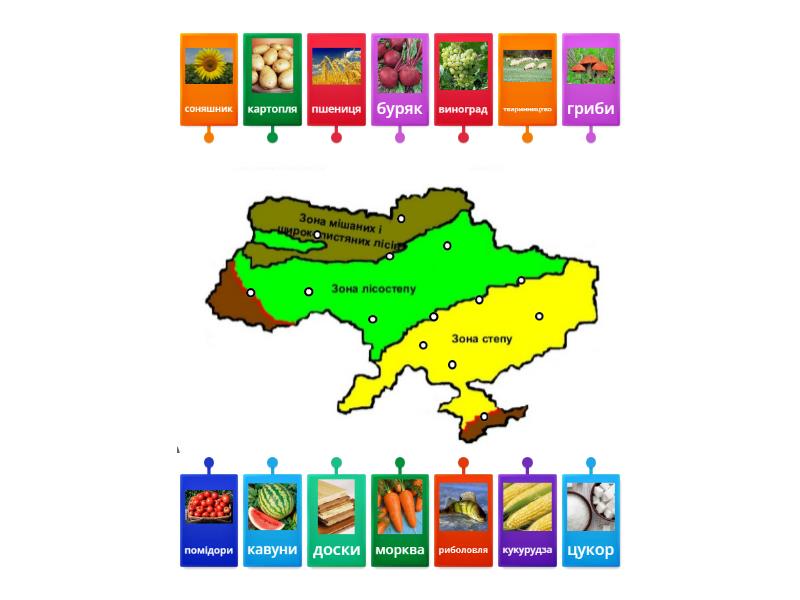 Природні зони і господарська діяльність людини - Діаграма з мітками