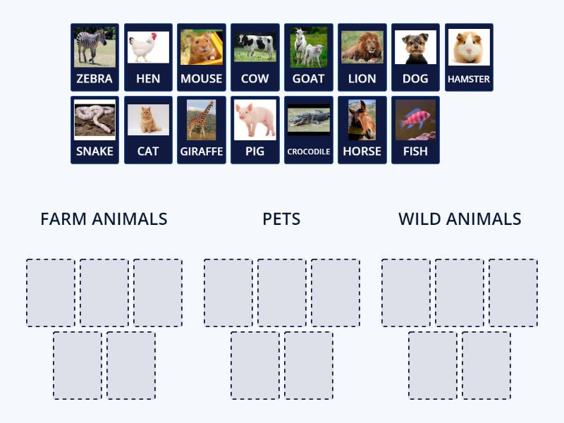 Farm Animals, Pets and Wild Animals - Group sort
