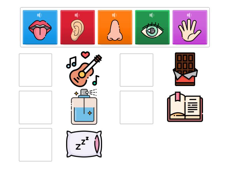 Los 5 sentidos - Match up