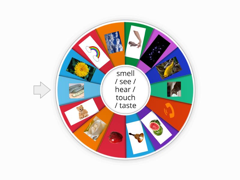 A class the 5 senses - Random wheel