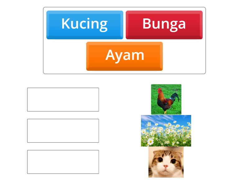 AYOOO TEBAK ,APA NAMANYA INI? - Match up