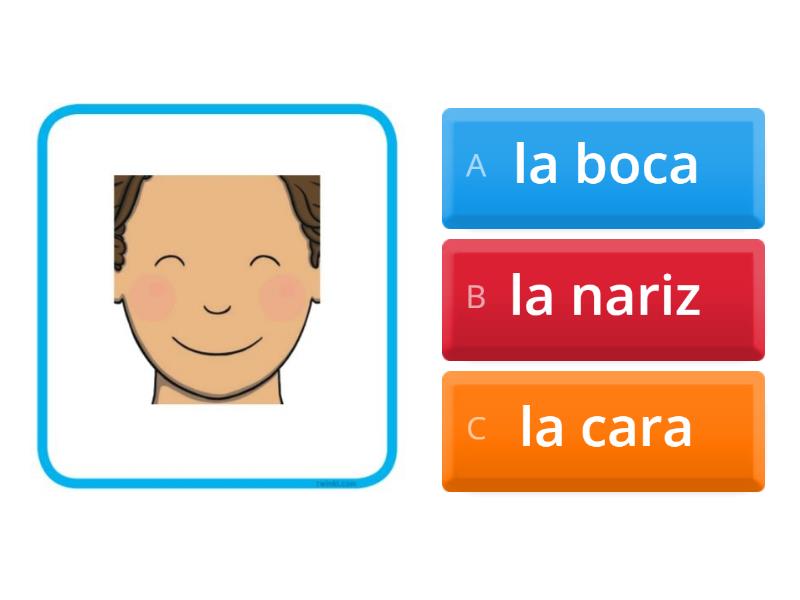 Partes de la cara - Quiz