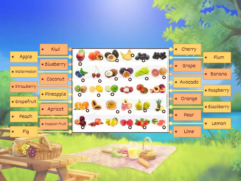 Fruit - Labelled diagram