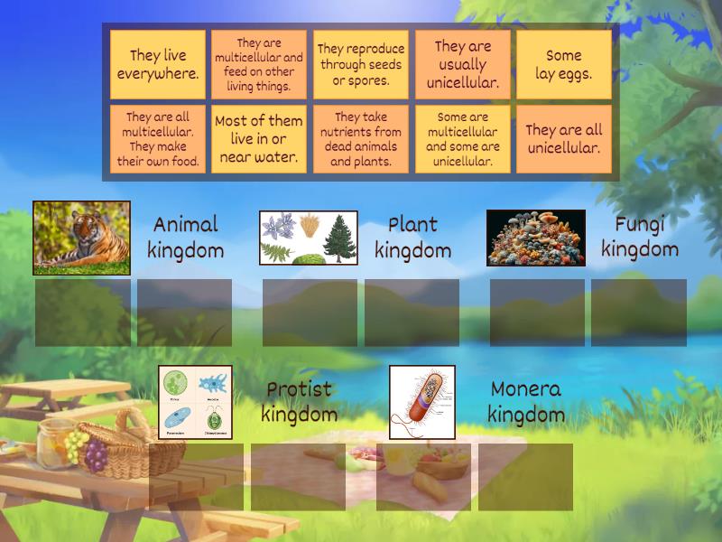 The five kingdoms of living things 3º - Group sort