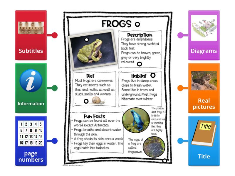 Parts of an Informative Text - Labelled diagram