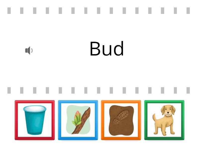 Oxford Phonics u-ug-ud-up - Find the match
