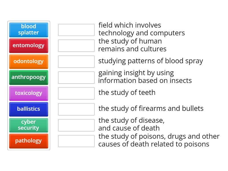 Areas of forensic sciene - Match up
