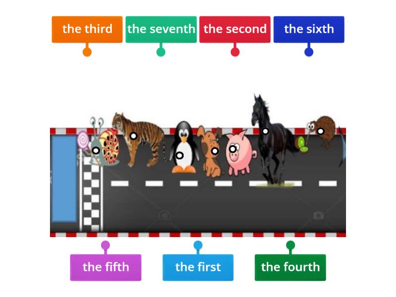 Ordinals with animals - Labelled diagram