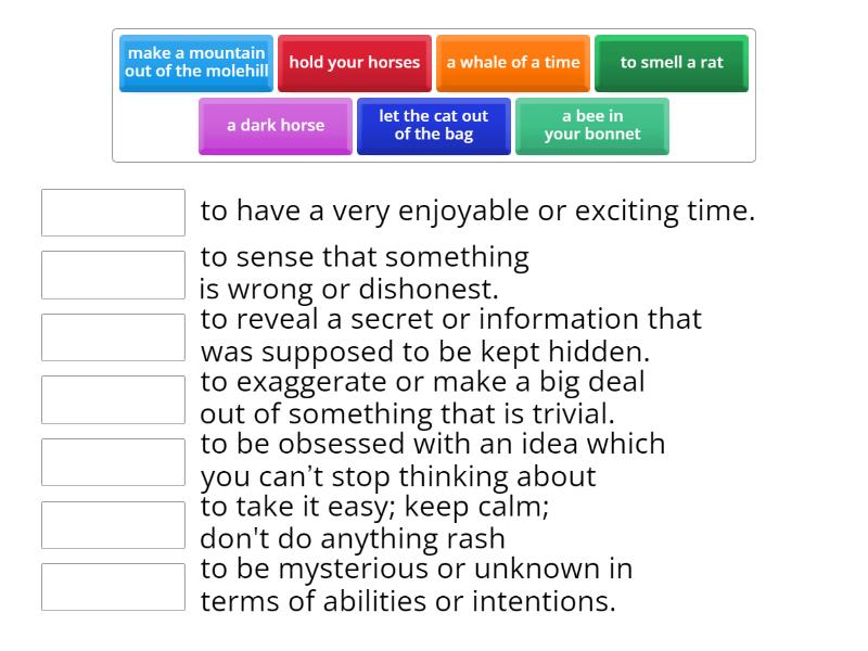 C1.4 Animal idioms - Match up
