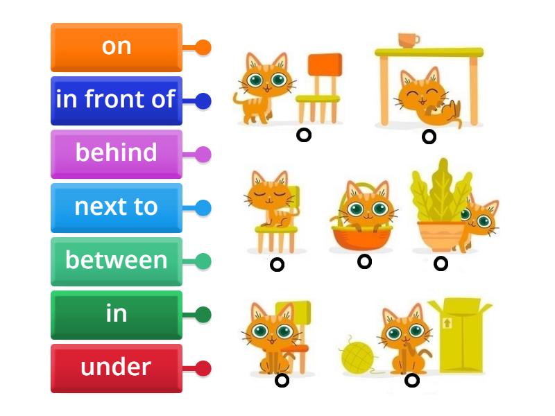 Prepositions of place in on, under, behind, in front of, next to ...