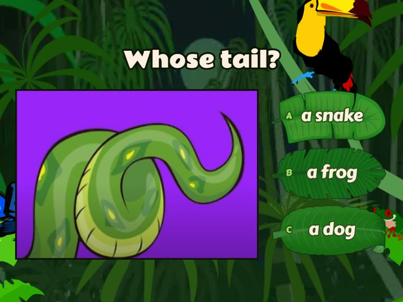 D1i_D0 Whose tail? - Cuestionario