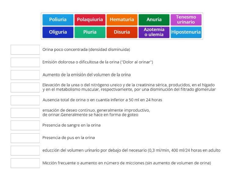 terminologia aparato urinario - จับคู่