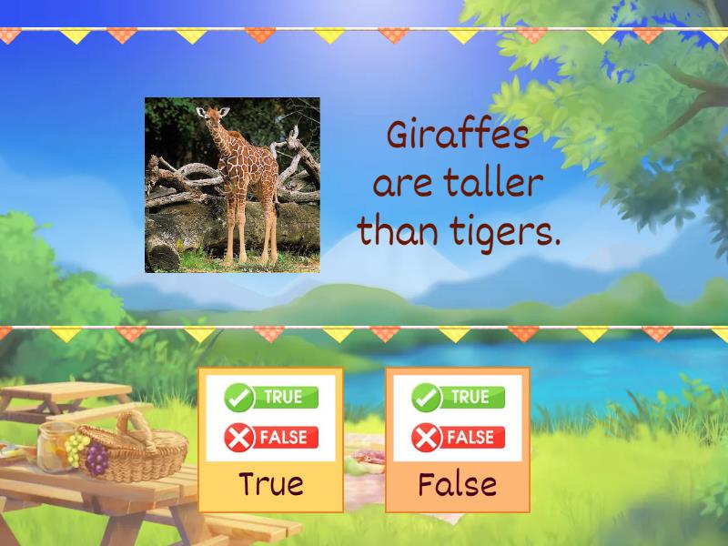 Comparatives animals - True or false