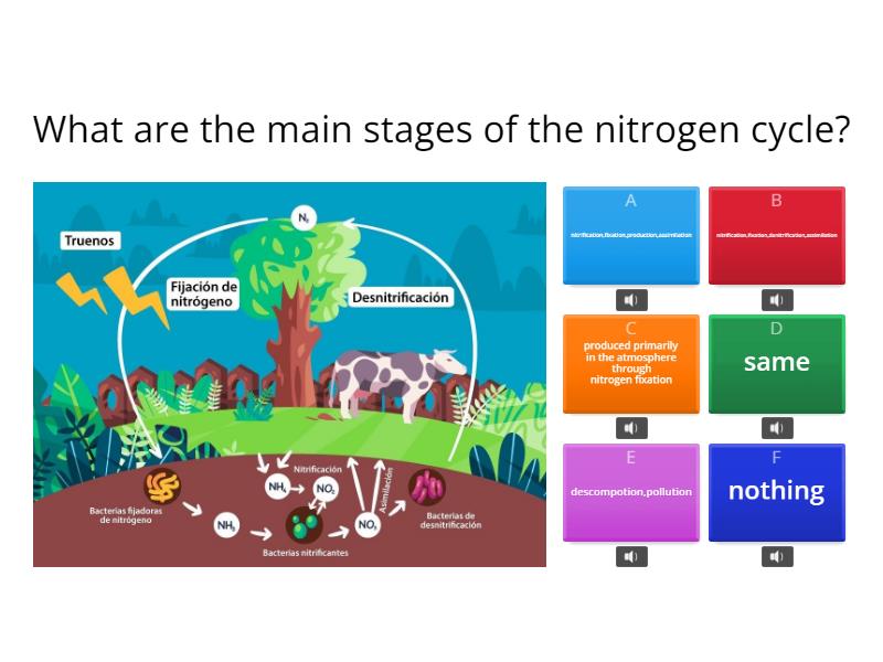 cycle of nitrogen - Quiz