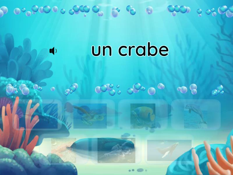 Les animaux de la mer (Sea Animals) - Find the match