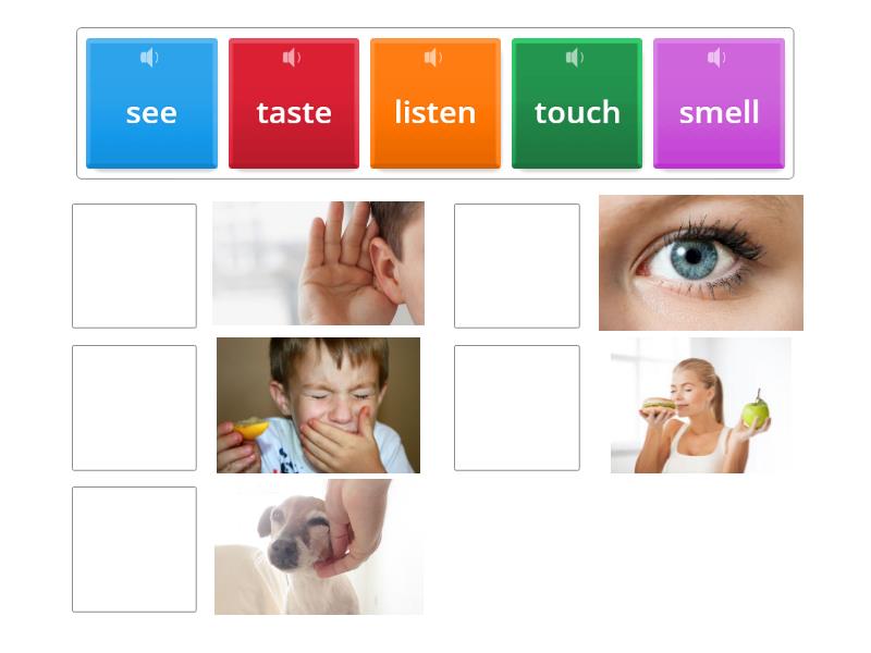 The five senses - Match up