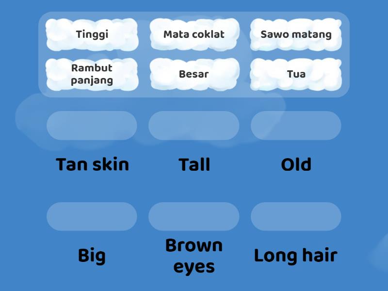 Physical Features - Match up