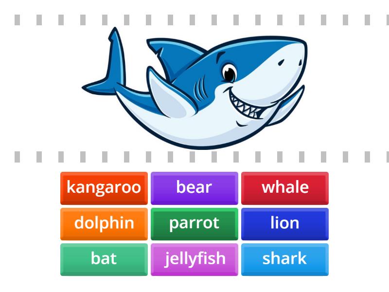 Kid's Box 3 Unit 7 World of animals - Find the match