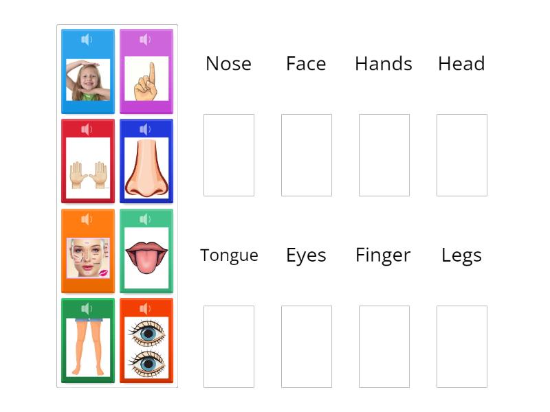 Guessing parts of the body - Group sort