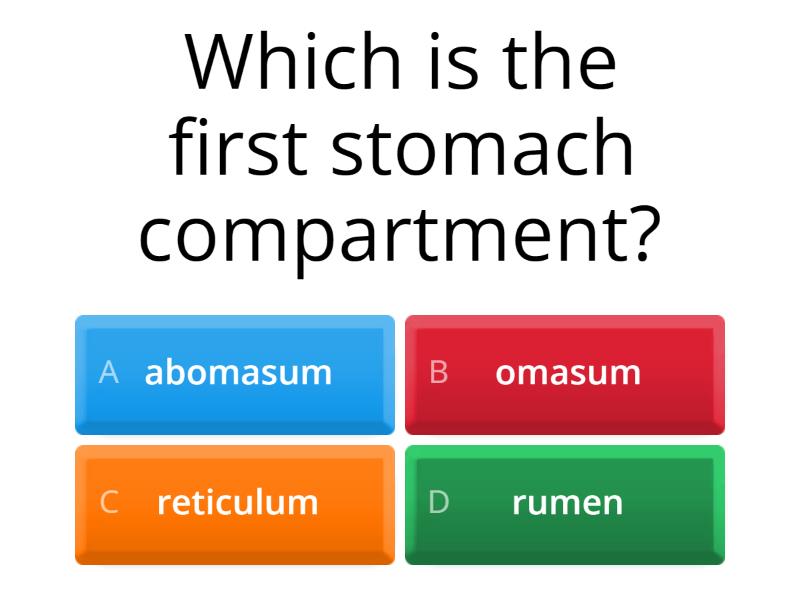 The Ruminant Digestive System - Quiz