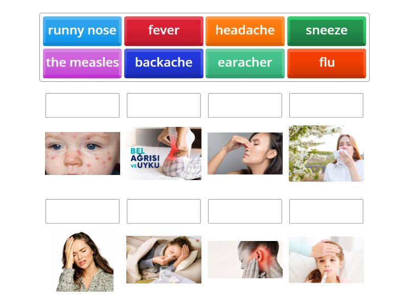 5. SINIF İNGLIZCE 5/A Ege - Match up
