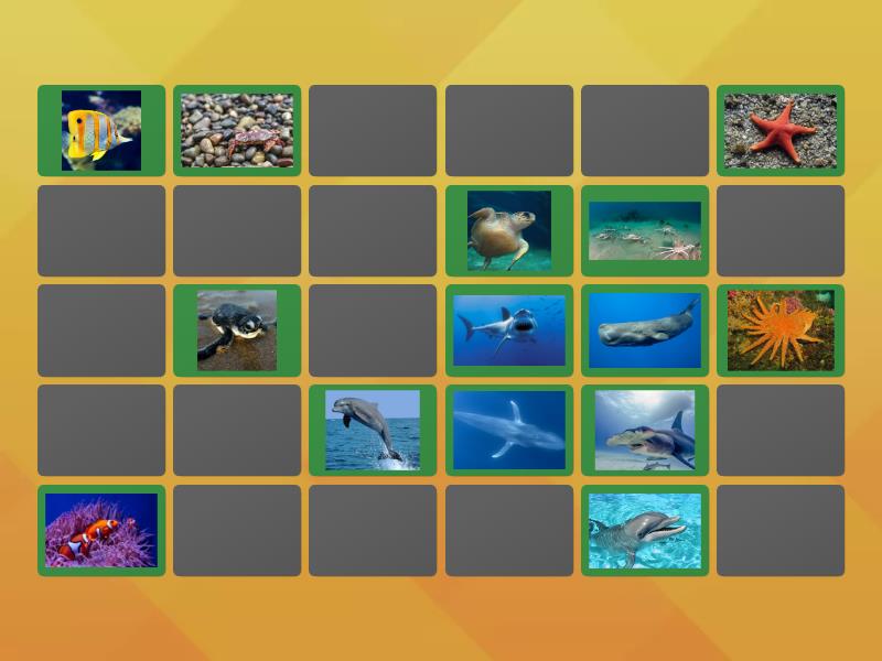 Ocean & Animals - Matching pairs