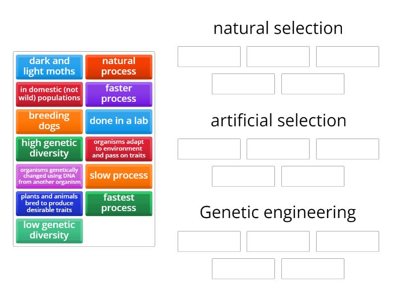 Natural selection, artificial selection, and genetic engineering - Group sort
