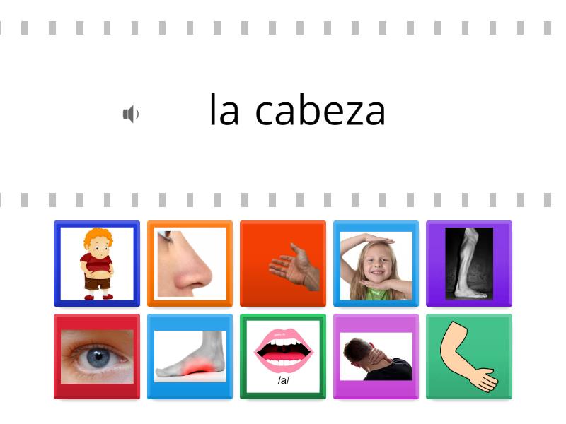 El cuerpo humano - Find the match