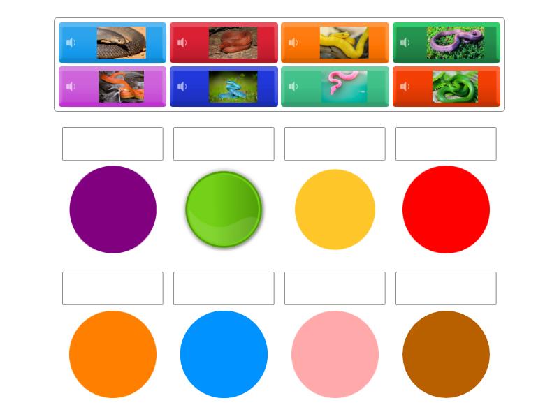 Snakes and colors - Match up