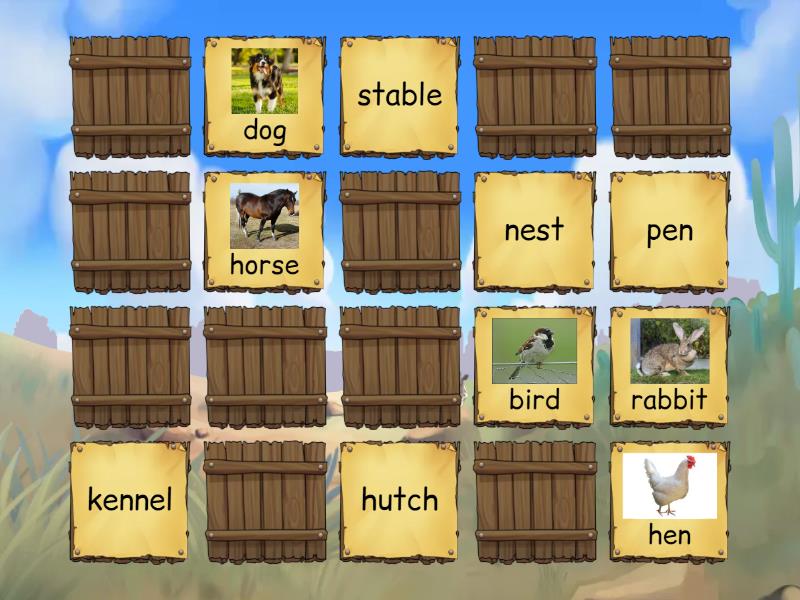 Animal Homes 1 - Matching pairs
