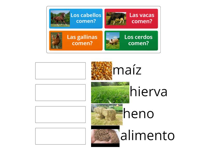 Que comen algunos animales de la granjas? - Match up