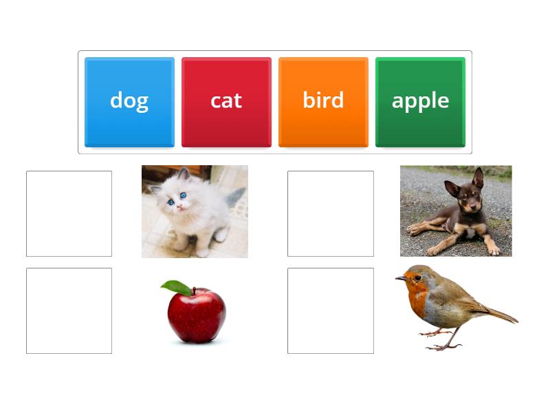 FF1 Unit 1 L4 - Match up