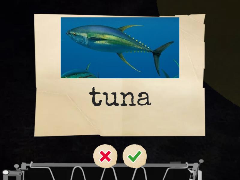 Fish and seafood - Flash cards