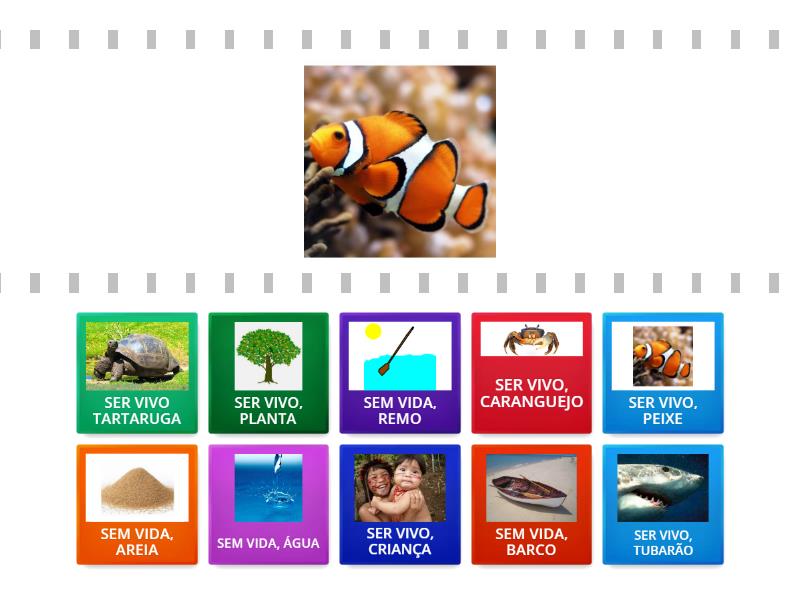 SERES VIVOS E SEM VIDA - Find the match