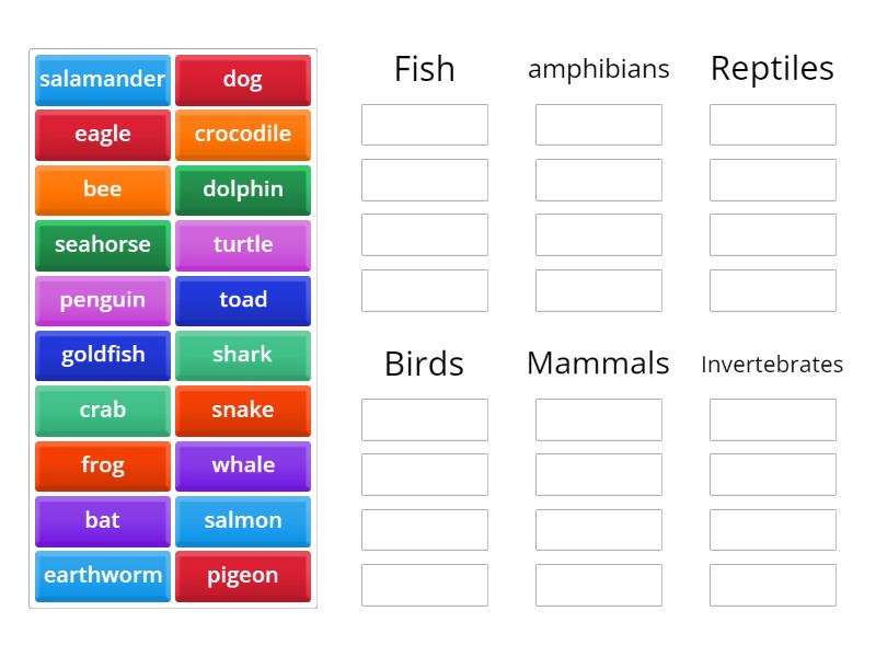 Classify animals into different groups - Group sort