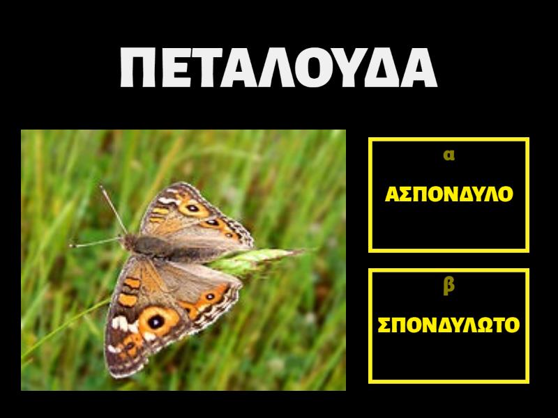 ΑΣΠΟΝΔΥΛΑ ΚΑΙ ΣΠΟΝΔΥΛΩΤΑ ΖΩΑ - Κουίζ