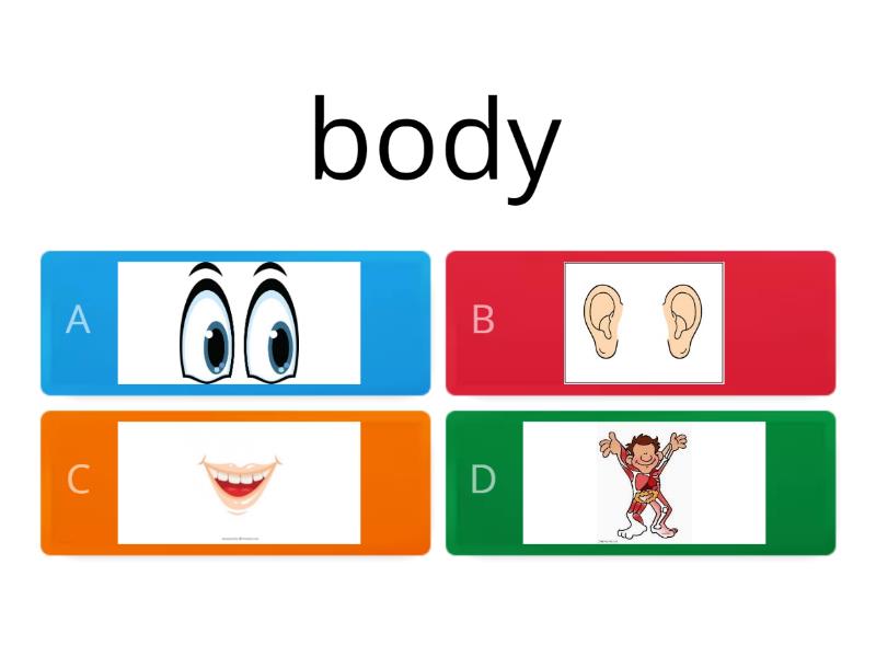 Parts of the body NEA UNIT 1&5 - Quiz